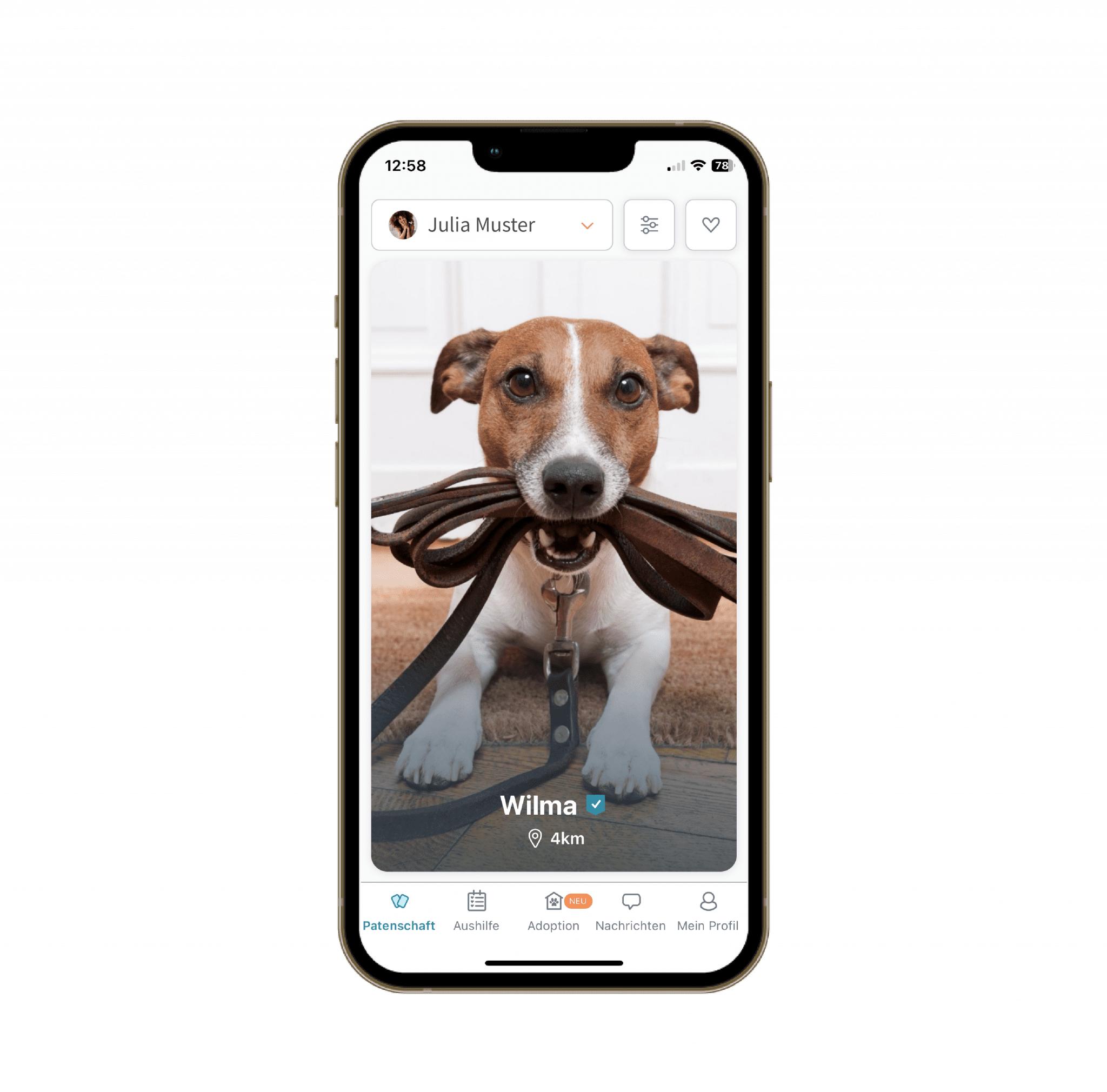 Patzo App | Hundebetreuung durch Patenschaften