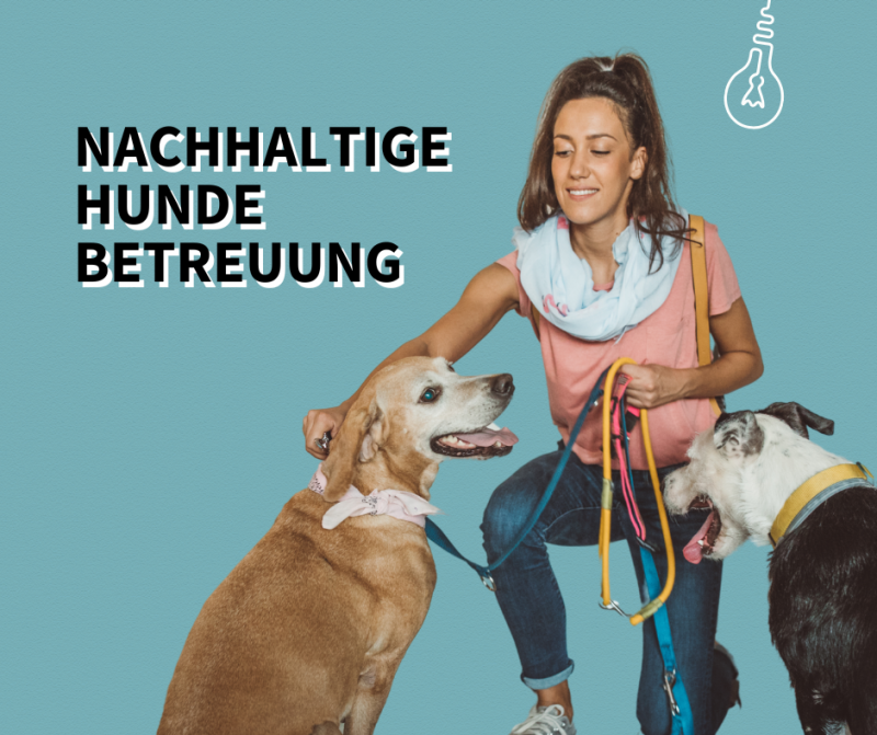 Patzo App | Dogsharing per App